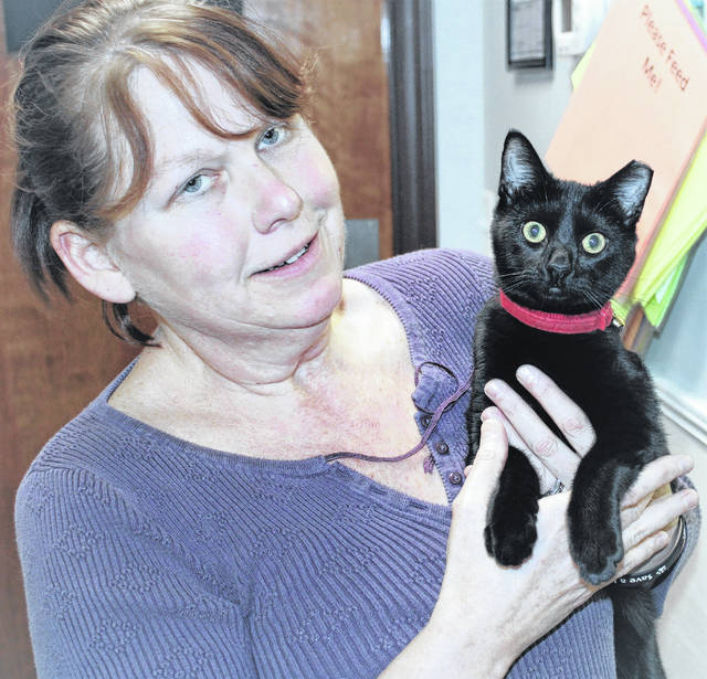 Local Animal Shelter has impressive save record | Anson Record
